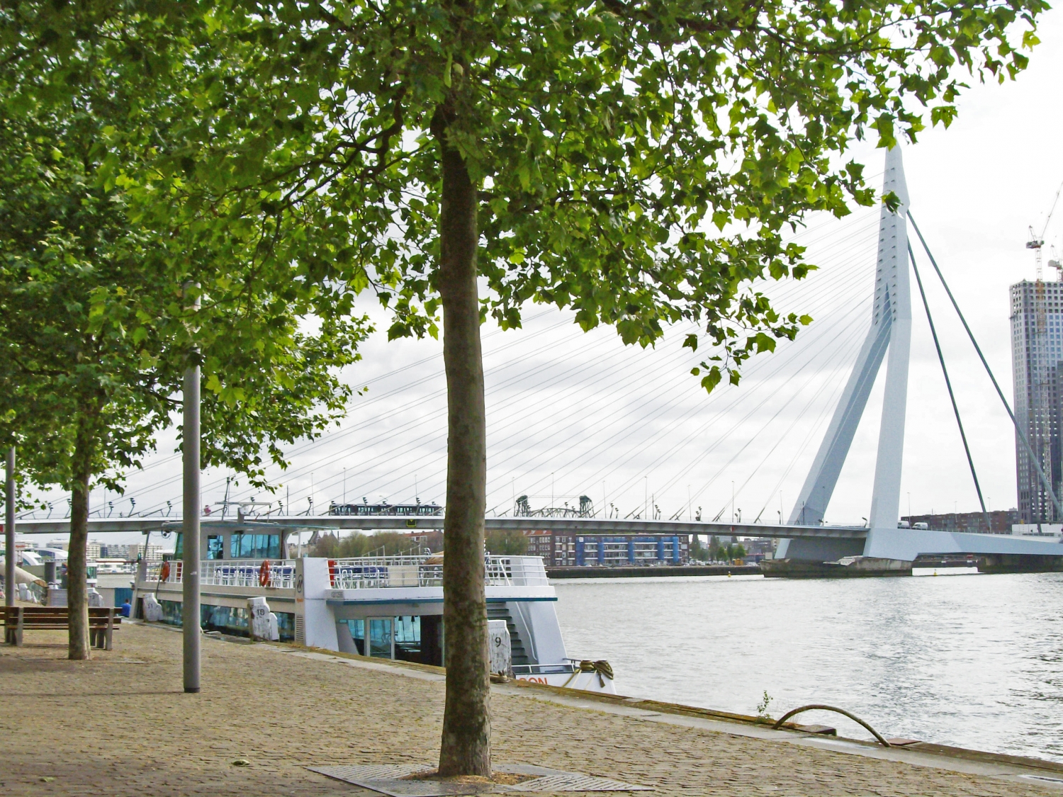 Benthemplein Rotterdam grootste waterplein ter wereld - De Groene Stad