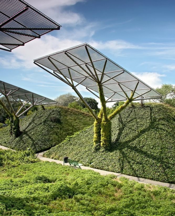 groen Archieven - De Groene Stad